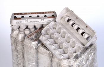 Coast Packaging - Shop Online